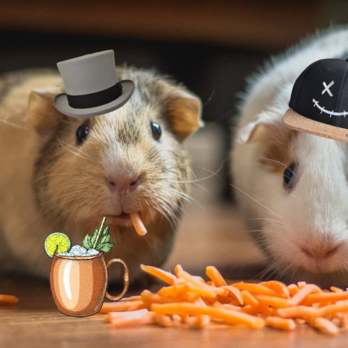 The Original Kentucky Mule Recipe | Moscow Mule Co.